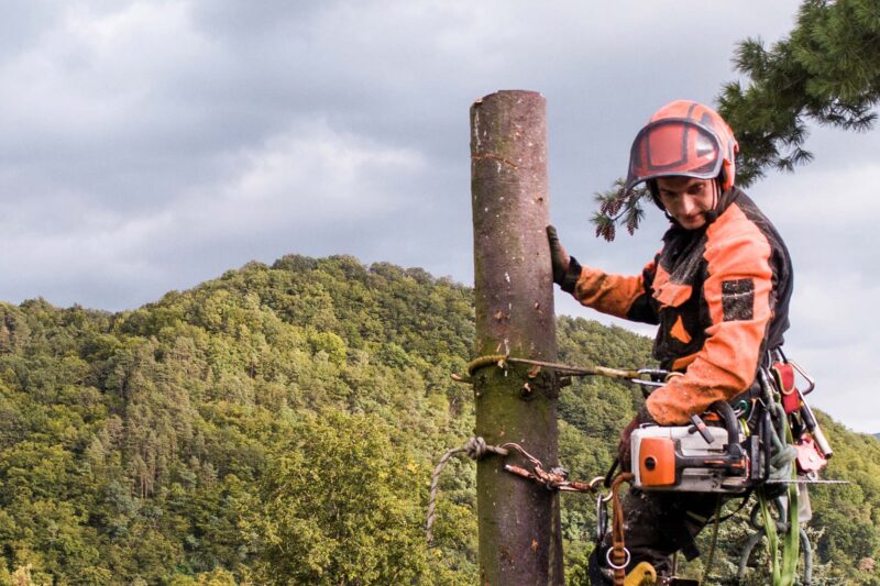 About Us - Husky Tree Services - Tree servcies expert